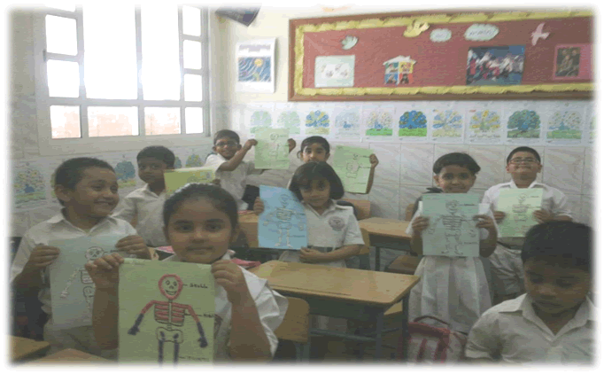 Class_II_Skeleton_Activity