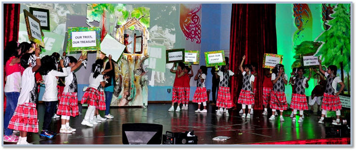 DPS-MIS Junior Wing Celebrated the 13th Annual Day 2013-2014